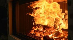 Wood properties – BuildInWood