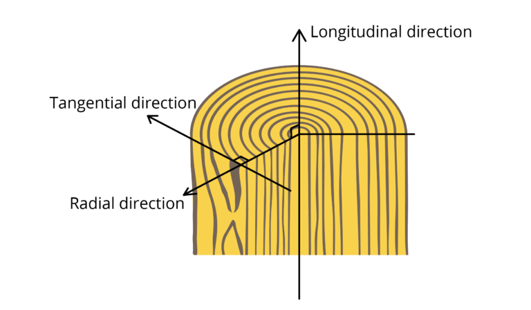 Wood properties – BuildInWood