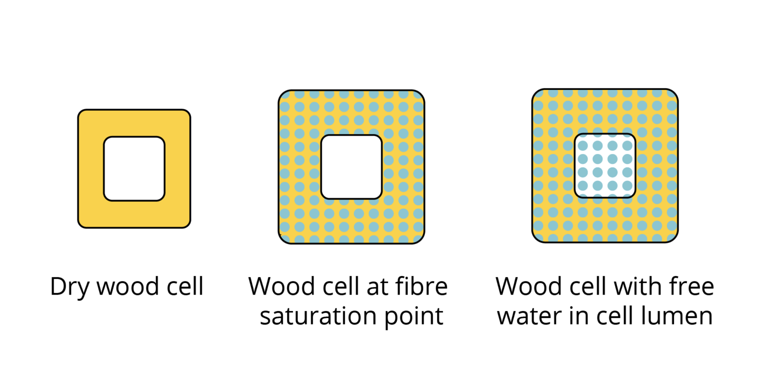 Wood properties – BuildInWood