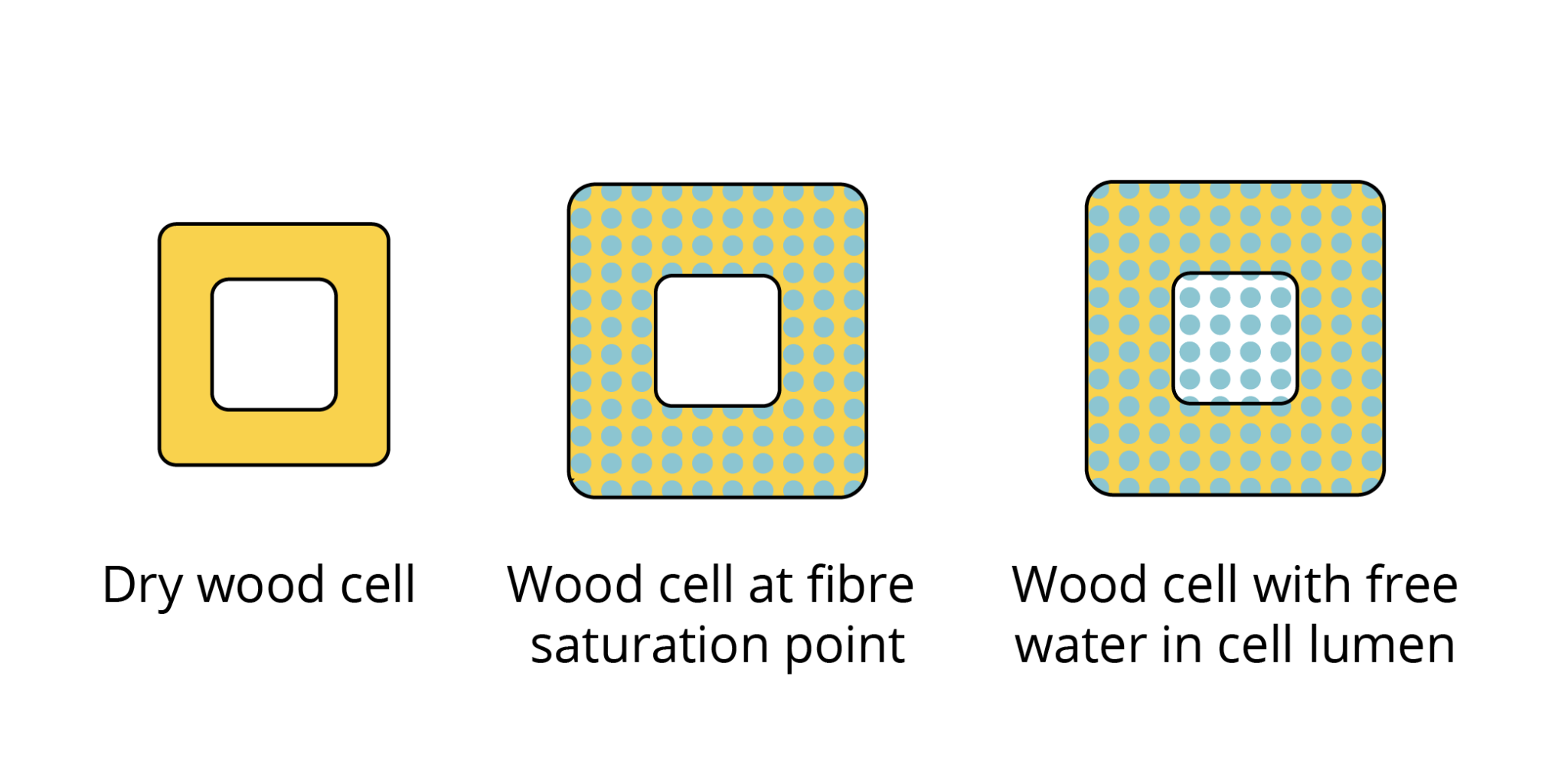 Wood properties – BuildInWood