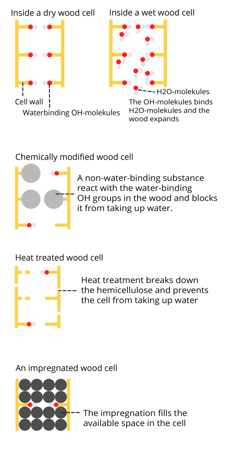 Wood properties – BuildInWood